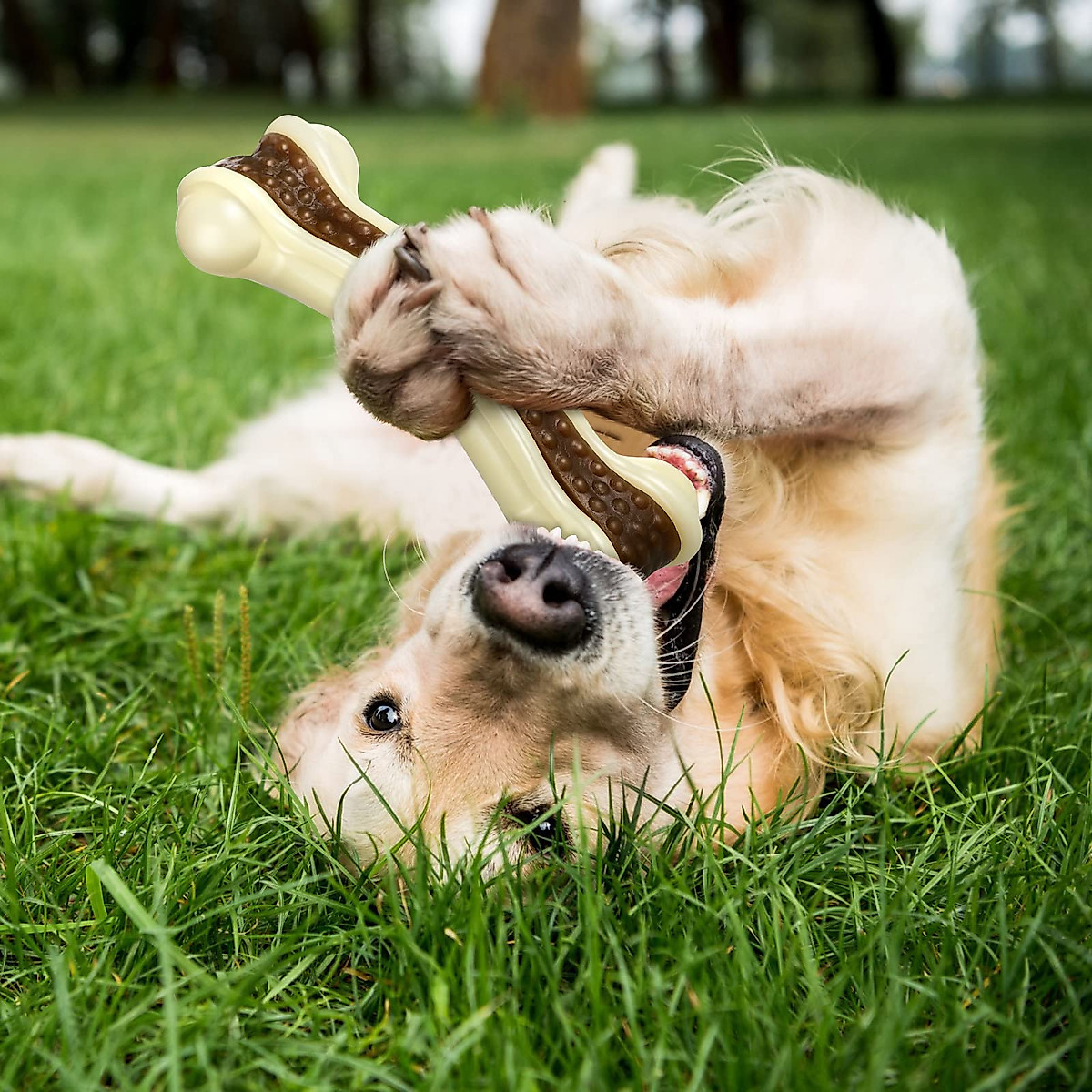Sosation Beef Flavor Dog Chew Toy, 4 Pcs Nylon Chew Bones for Aggressive Chewers, Large (Dental Health, Large Breeds)