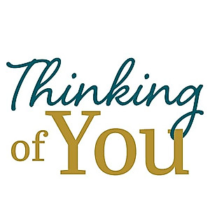 eCreamery Thinking of You Sympathy Gift - Classic Ice Cream 4 pack