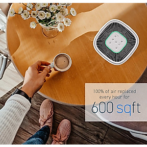 HATHASPACE Harmony 600 Certified Replacement Filter for HSE600 Air Purifier, H13 True HEPA