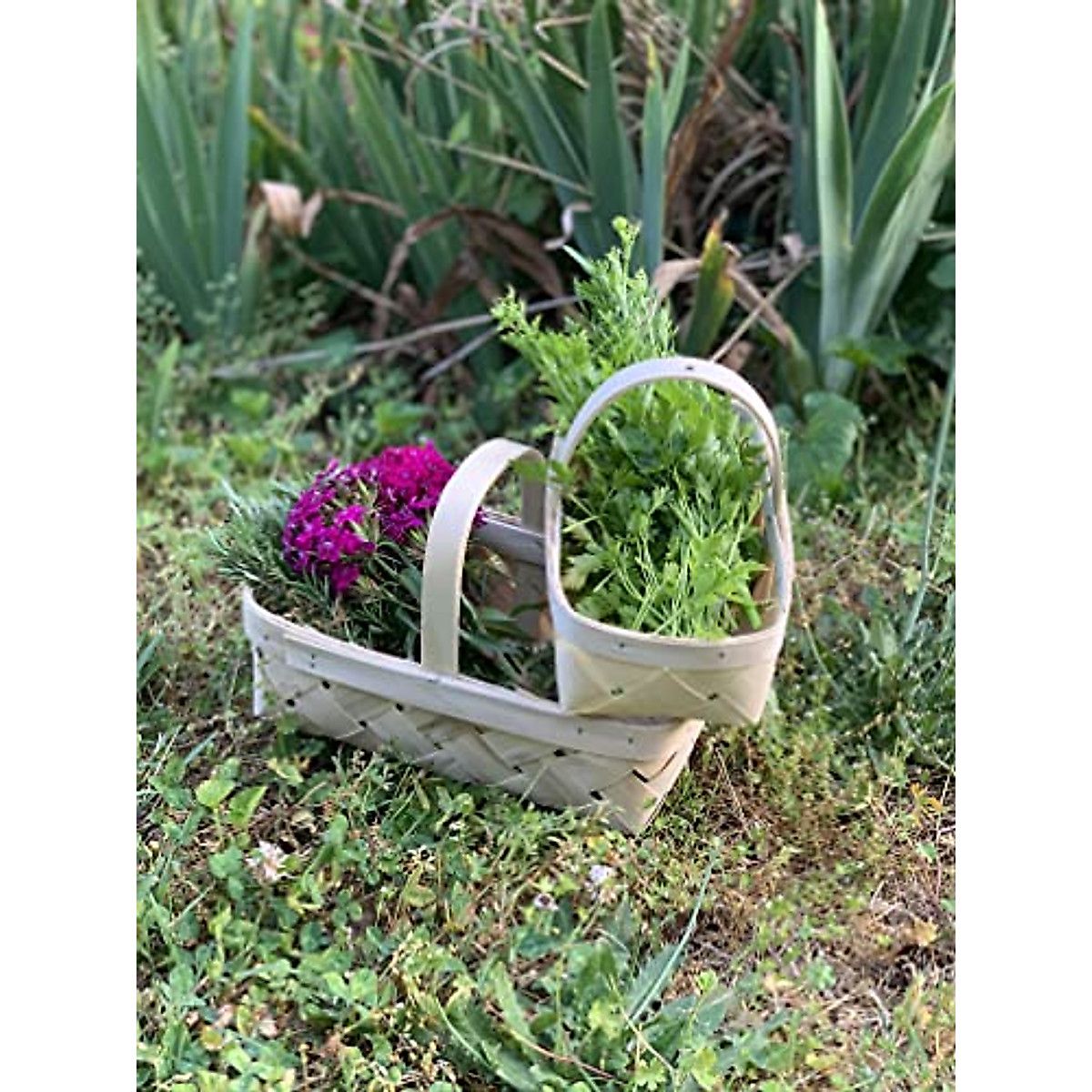BERT'S GARDEN Farm Stand Nesting Baskets with Handles, Produce Baskets, Natural Wooden Baskets, Use as a Planter, Make Gift Baskets 2 Pack