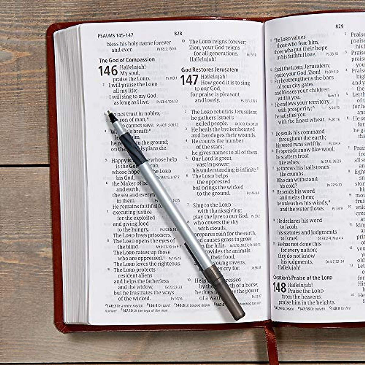 CSB Super Giant Print Reference Bible, Brown LeatherTouch