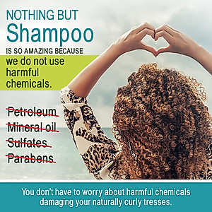 NOTHING BUT Clarifying Shampoo Sulfate-Free Detox for Natural Hair - Hair Shampoo - Removes Buildup - 12oz - Single