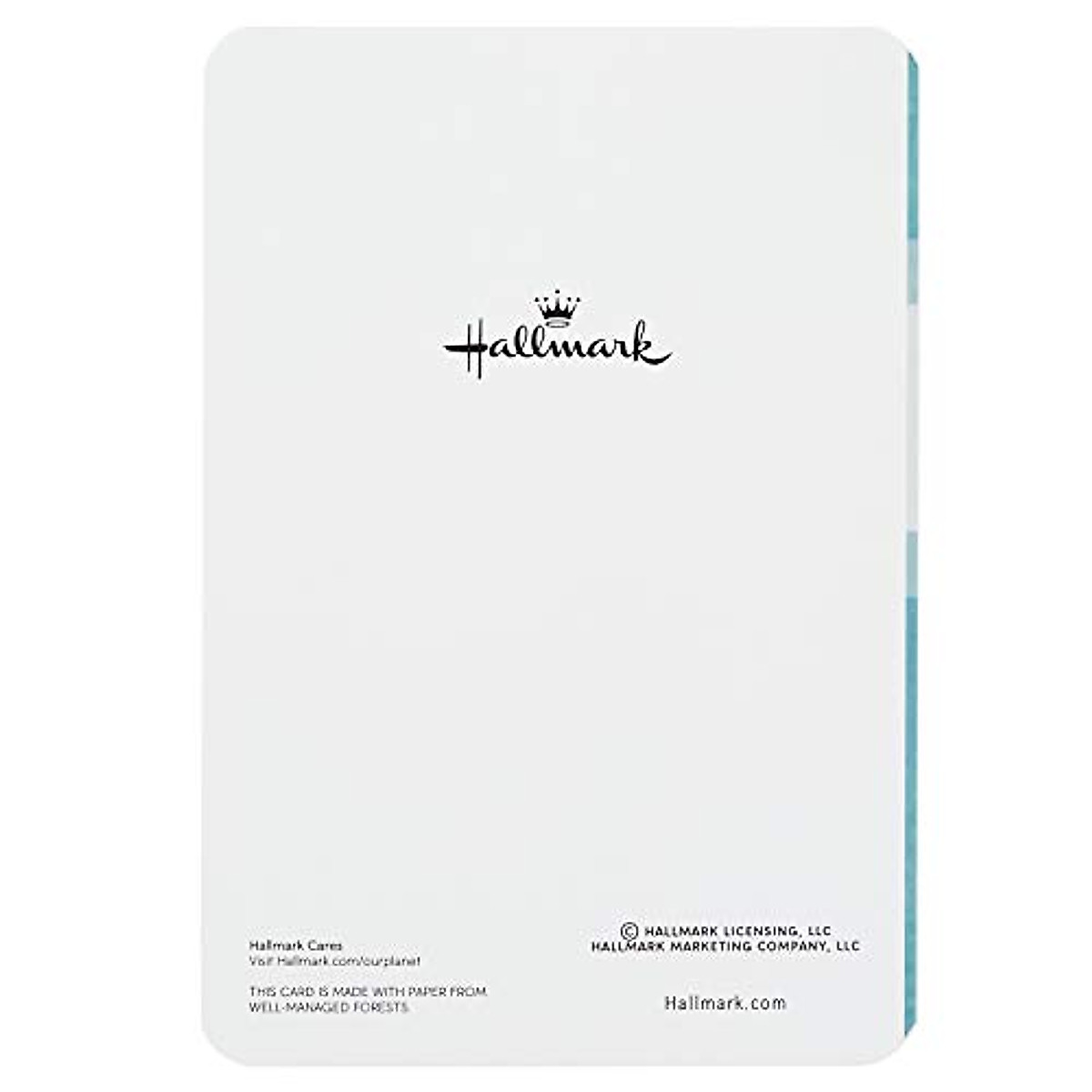 Hallmark Special Connections Thinking of You Card Assortment (6 cards and 6 envelopes) (1399RZC1013)