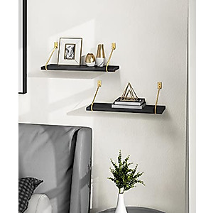 Gronda Black Floating Shelves Set of 2, Black Gold Wall Shelves Minimalist Modern Wall Decor Wooden Bookshelves Trophy Display Storage Plants Floating Shelves Wall Mount Living Room Bedroom Bathroom