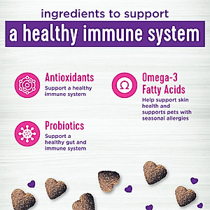 Wellness Salmon Flavored Soft Chew Immune & Allergy Supplements for Dogs, 90 Count