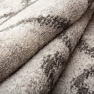 SUPERIOR Aneela Indoor Area Rug