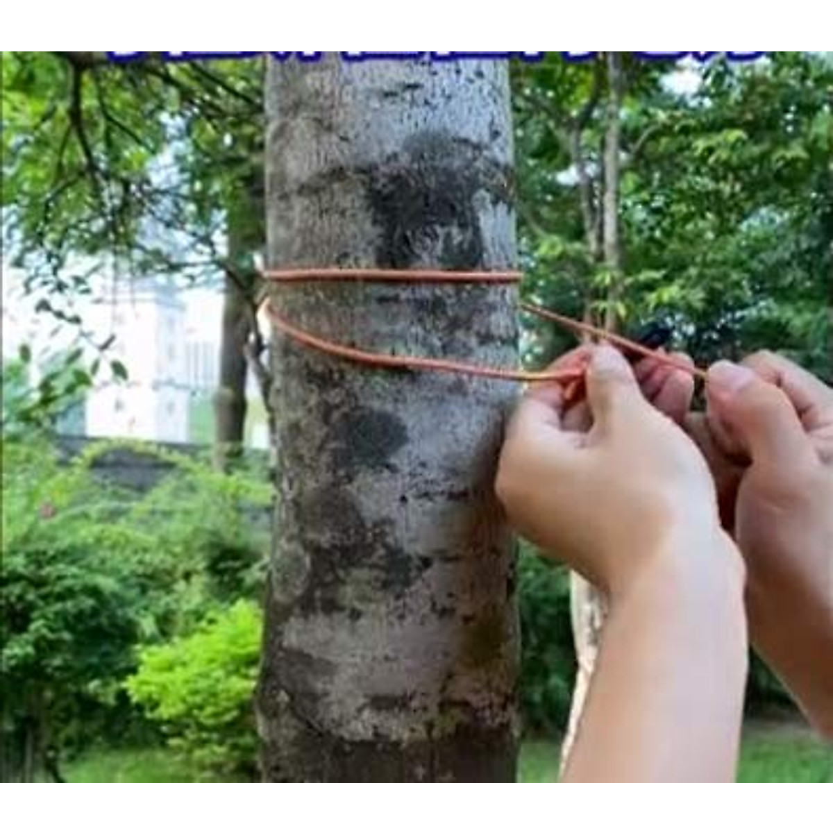 Longdex 8M telescopic clothesline portable windproof adjustable box-type rope , adjustable clothesline with 10 windproof clothespins, Multi-Functional.