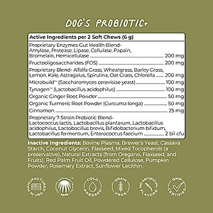 CYMBIOTIKA Dog Probiotic+, Probiotics for Dogs, Gut Health & Immune Support Supplement with Digestive Enzyme and Green Blend, Prebiotics, Postbiotics, Supplements for Dogs, Pumpkin Flavor, 50 Chews