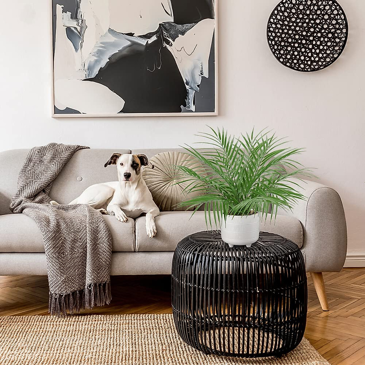 Hollyone Large Artificial Potted Plants Fake Palm Plants 19" Faux Green Plant Plastic Tropical Palm Tree in White Ceramic Pots Bohemian for Home Room Office House Indoor Decoration