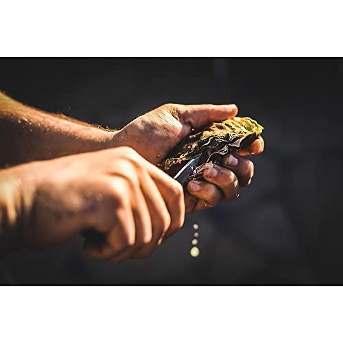 Deglon 6-Inch Oyster Knife, Dune