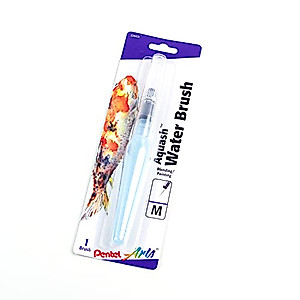 Pentel Arts Aquash Fine Point Water Brush, Medium (FRHMBP)