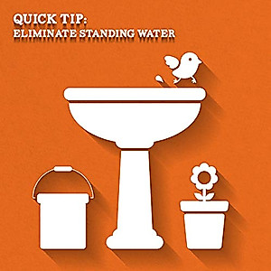 Cutter Insect Repellent, 6 oz