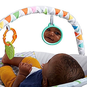 Bright Starts Safari Fun 3-Point Harness Vibrating Baby Bouncer with -Toy bar