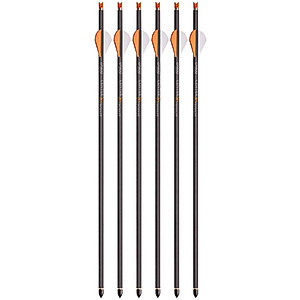 CenterPoint Archery CP400 Select 400-Grain 20-Inch Carbon Arrows AXCCA20TPK, Pack of 6