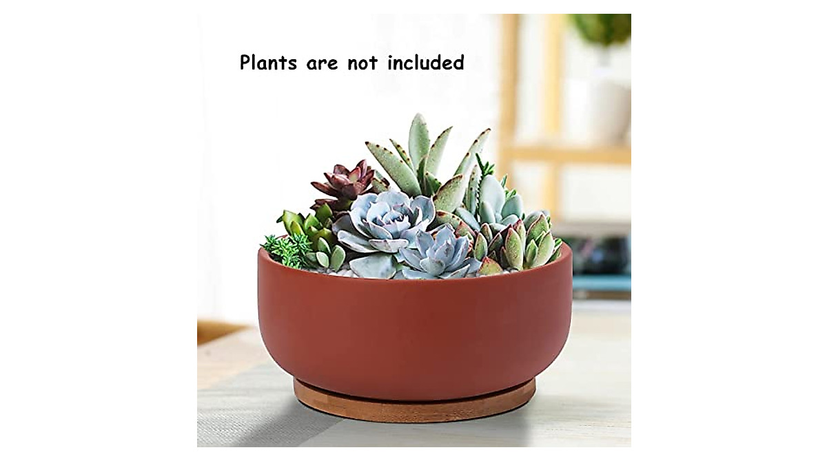 Thirtypot 8" Terracotta Planter for Indoor Plants