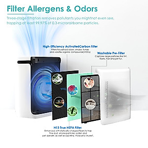 Flintar Vital 100S Toxin/Smoke Absorber Replacement Filter, Compatible with LEVOIT Vital 100S Air Purifier, H13 True HEPA + Activated Carbon Replacement filter, Part # Vital 100S-RF-TX, 2-Pack