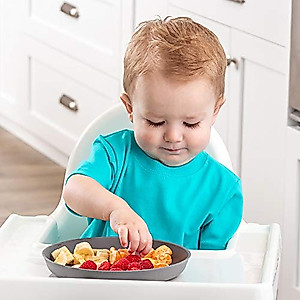 WeeSprout Bamboo Plates (Blue, Green, Gray, & Beige, Without Lids)