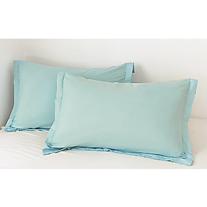 Colourful Snail Duvet Cover 2 Piece Set, Ultra Soft Double Brushed Microfiber Comforter Cover with Zipper Closure and Corner Ties, Twin, Light Blue (Comforter Not Included)