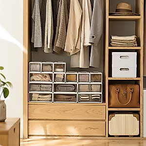 shopwithgreen Sock Underwear Organizer Dividers, 14 Cell Clear Drawer and Closet Storage Boxes, Wardrobe Clothes Organizer for Storing Bras, Ties, Dress, Gloves