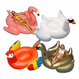 Swimline Golden Goose/Swan/Flamingo/Parrot Floats for Swimming Pools (4 Pack)
