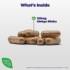 Natrol Brain Health Ginkgo Biloba 120mg, Dietary Supplement for Brain Health and Memory Support, 60 Capsules, 60 Day Supply