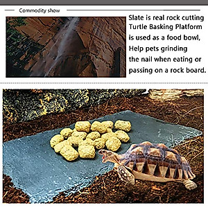 Tfwadmx Reptile Basking Platform, Tortoise Feeding Dish, Natural Rock Reptile Food Bowl Landscape Habitat Decor for Turtle Lizard Bearded Dragon Crested Gecko Snake