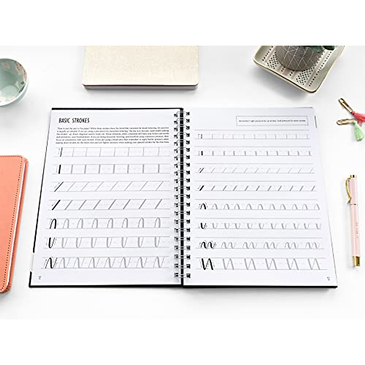 The Ultimate Guide to Modern Calligraphy & Hand Lettering for Beginners