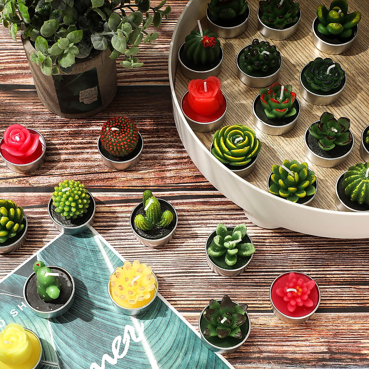 Lounsweer 72 Pcs Succulent Candles Cactus Tealight Candles Handmade Delicate Candles for Birthday Baby Shower Wedding Spa Party Favors Gifts Home Decor