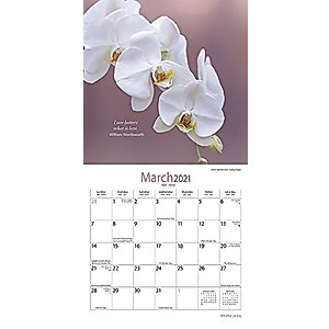 Mindful Living 2021 Calendar: Brush Dance