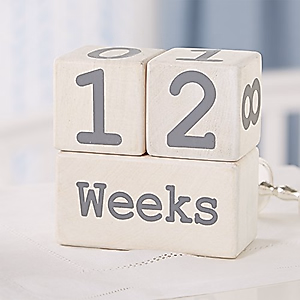 Mud Pie Milestone Blocks, White/Blue