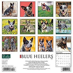 Just Blue Heelers 2021 Wall Calendar (Dog Breed Calendar)