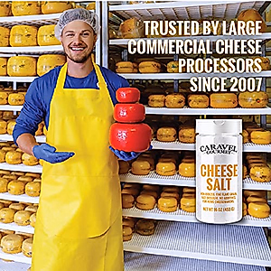 Cheese Sea Salt, Fine Sea Salt for Homemade Cheese Making, Gluten-Free and Non-Iodized Salt, Kosher Cheese Kit Essential Salt, 1 lb Shaker, Sea Salt Superstore