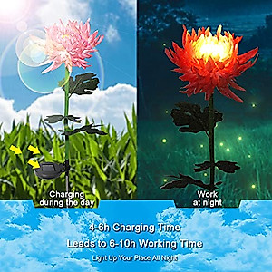 MIKK Solar Garden Stake Flower Lights, 2pack Outdoor Decorative Floral Lights, LED Artificial Waterproof Yard In-Ground Lights Lights for Garden Lawn Patio Backyard.（Pink Chrysanthemum）