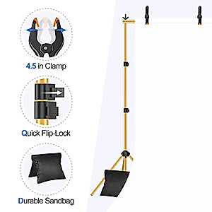 EMART Backdrop Stand 10x7ft(WxH) Photo Studio Adjustable Background Stand Support Kit with 2 Crossbars, 8 Backdrop Clamps, 2 Sandbags and Carrying Bag for Parties Events Decoration -Gold