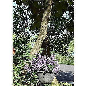 8 Pack Tree Branch Hook 12 Inche Black Bird Feeder Hook Rustproof Stainless Steel Hooks Bird Feeder Hook for Tree Garden Hook S Hooks for Hanging Bird Feeders, Bird House, Plants, Baskets, Lanterns