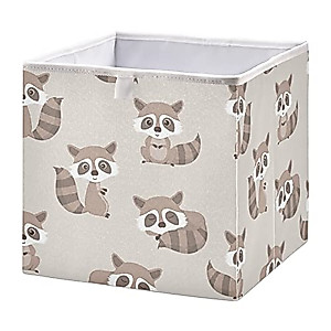 Cute Animals Raccoon Storage Baskets for Shelves Foldable Collapsible Storage Box Bins with Closet Organizers Cubes Decorative for Pantry Toys, Clothes, Books in Closet and Shelf,11 x 11inch