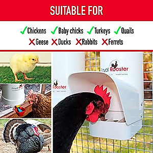 Royal Rooster Chicken Feeder and Chicken Waterer Set - 7 lb Poultry Chicken Feeder with Rain Cover and 1 Gallon Waterer System - Chicken Coop Accessories: Valve-Cup Waterer and Gravity-Feed Feeder Set