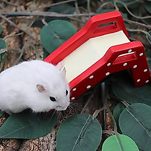 Hermit Crabs Climbing Ladder Bridge, Resin Reptile Climbing Toys, Small Animals Cage Accessory, Tank Accessory, Suitable for Hermit Crab Hamster Rat