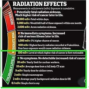 RADTriage Model50 Radiation Dosimeter & Self-indicating Instant Radiation Alert Dosimeters Practically Non-Destructible, Tamper Resistant, Tamper Evident Highly Reliable & Robust Emergency Dosimeter