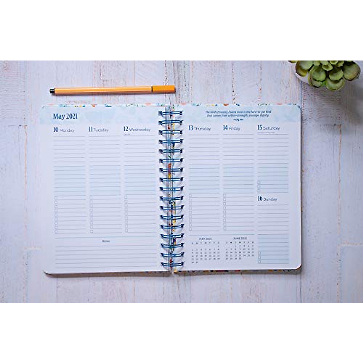 Posh: Deluxe Organizer 17-Month 2020-2021 Monthly/Weekly Planner Calendar: Garden Creatures