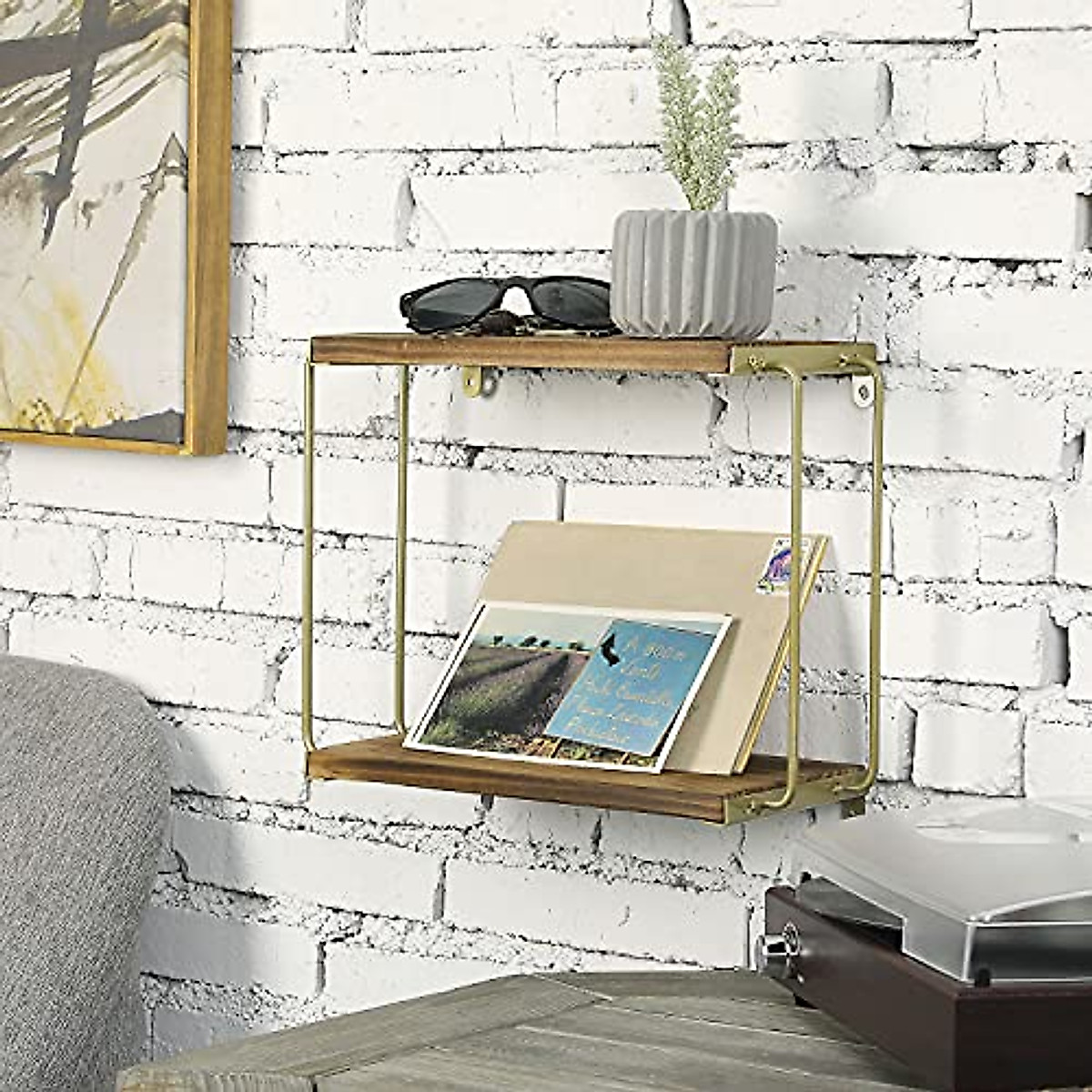 MyGift 2-Tier Burnt Wood Wall Mounted Display Shelves with Vintage Brass Metal Frame