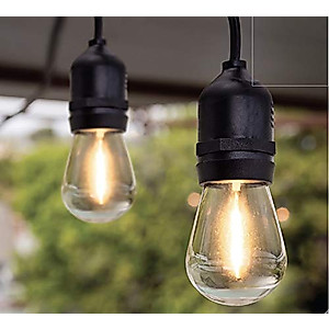 Feit Electric 48' LED Filament String Light Set