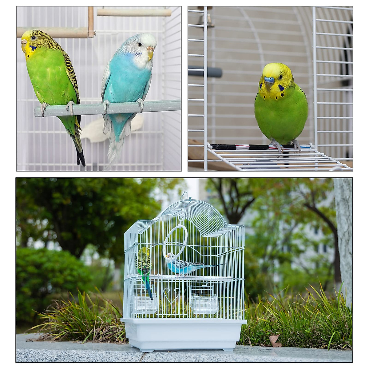Capuca Small Bird Travel Cage-Lightweight Small Birds Starter Kit with Birdcages and Accessories Great for Parakeets Lovebirds Parrotlets Finches Canaries Removable Plastic Tray Include