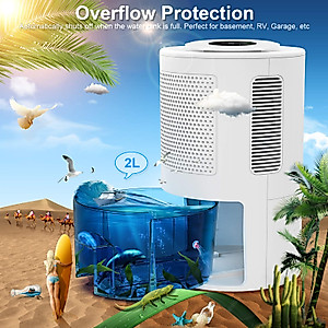 Large Dehumidifiers for Home - 68oz 2000ML Upgraded Humidity LCD Display Dehumidifiers for Basements Drain Hose, Quiet Portable Small Dehumidifier for Room Bedroom Bathroom Closet RV Control Panel