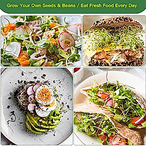 VOLCANOES CLUB Seed Sprouting Jar Germination Kit Accessories - Blackout Sleeves/Jar Stands/Sprout Lids for Wide Mouth Mason Jar - for Growing Microgreens, Broccoli, Bean Sprouts, Alfalfa (2 Pack)