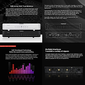 Musician Aquarius R2R DAC HiFi Mid-Range Decoder Balanced DAC USB/Opt/Coax/2 x IIS/AES Input RCA/XLR Output Home Audio Desktop DAC (Black)