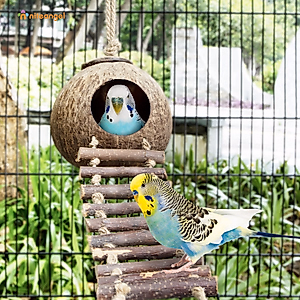 Niteangel Natural Coconut Hamster Hideaway with Ladder, Bird and Small Animal Toy (House with Ladder, Smooth Surface)