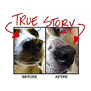 Snout Magic: 100% Organic and Natural Dog Nose Butter (2oz) - Proven to Cure Your Dog's Dry, Chapped, Cracked, and Crusty Nose