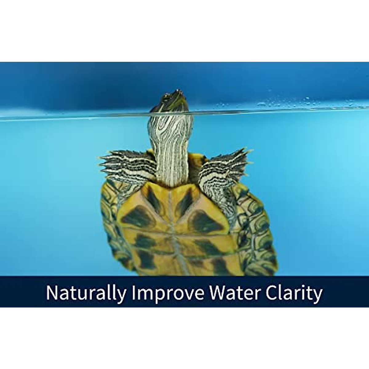 Snout & Shell Liquid Aquarium Cleaner for Turtles - Concentrated Bottle Treats 960 Gallons - Reduce Tank Maintenance & Improve Water Safety, 16 Oz