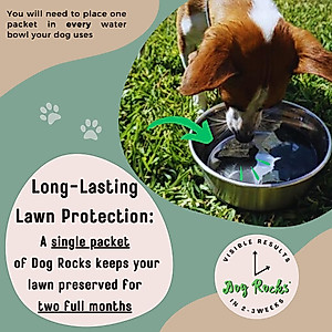 Dog Rocks Dog Pee Grass Neutralizer for Green Grass in 3-5 Weeks | Dog Grass Saver Rock | 100% Natural Urine Neutralizer for Lawn | 200 grams